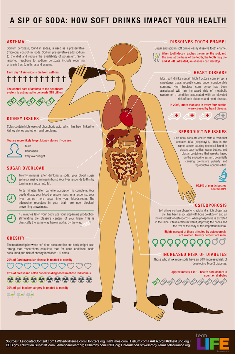 Infographic: How a Sip of Soda Impacts Your Health | Infographic A Day